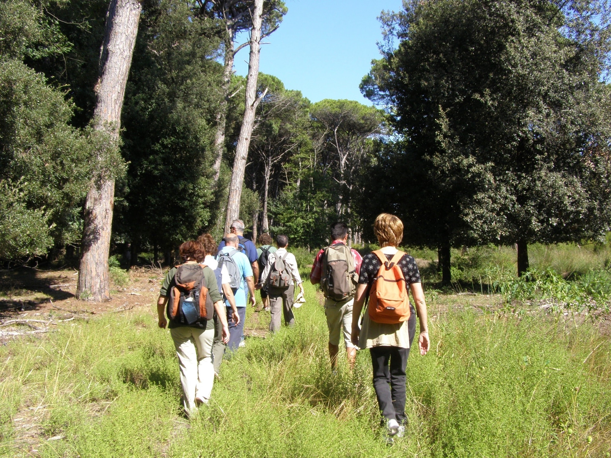 Pisa, Pasqua e Pasquetta nel Parco di San Rossore - Toscana News