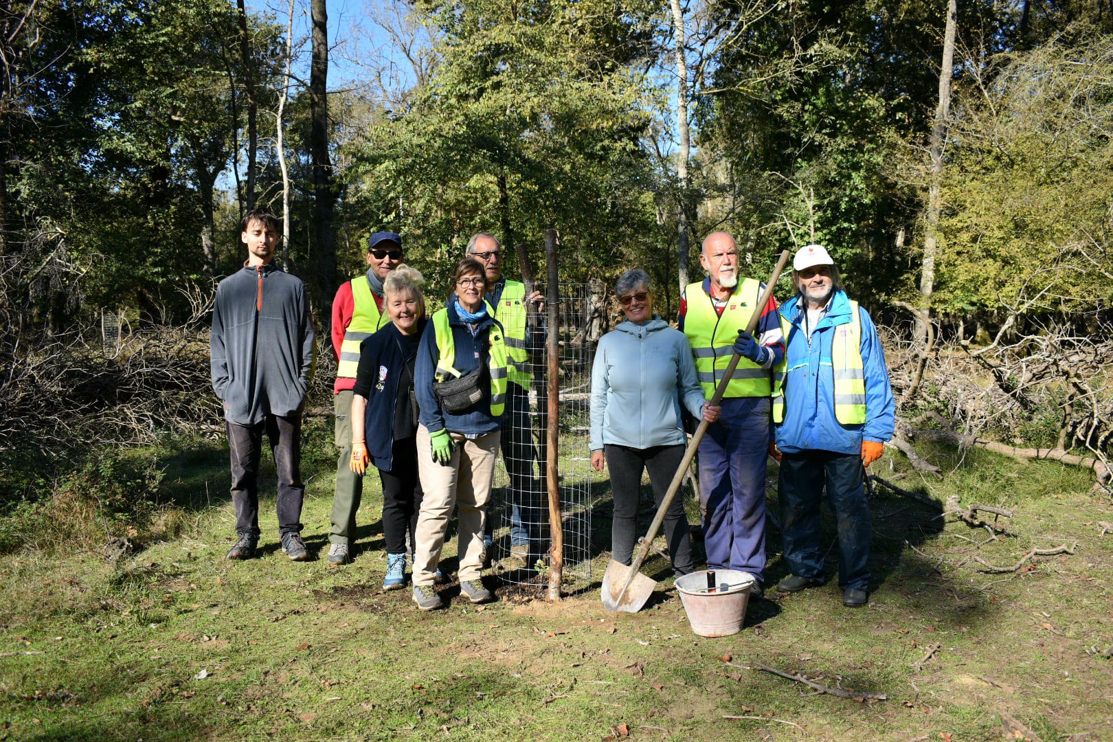 Pisa, i volontari del Parco di San Rossore piantano 40 farnie - Toscana ...
